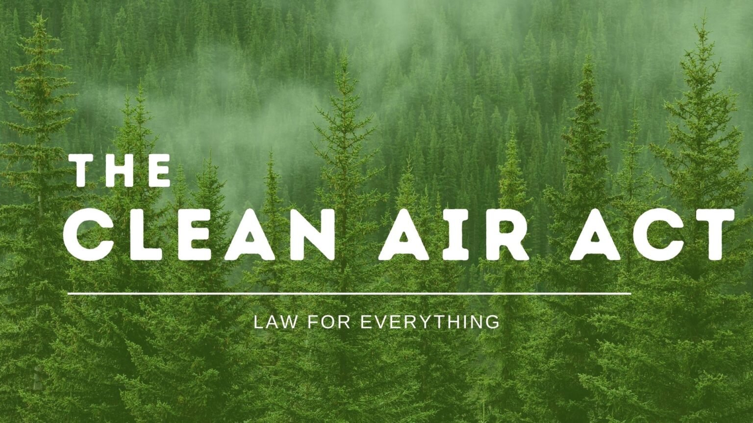 Clean Air Act (CAA) - Ensuring Healthy Air Quality